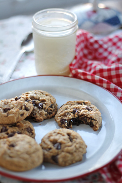 reduce reuse recycle repair – Go Gingham