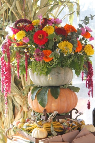 Earthbound Farm Organic Farm Stand – Go Gingham